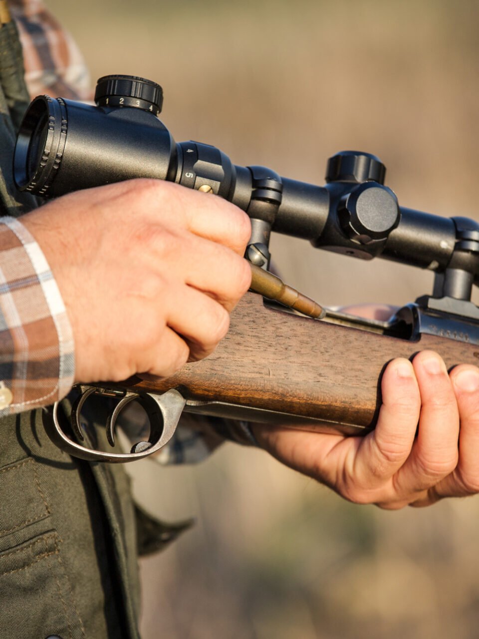 How to Build Your Own Gun: The Complete Guide - Areas of My Expertise
